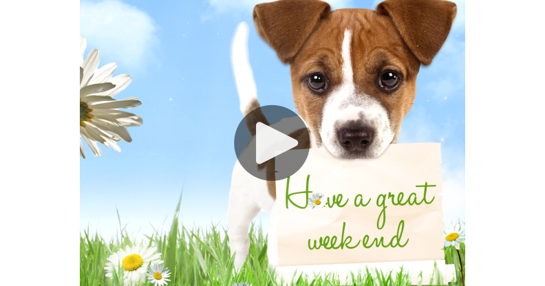 My card - Have a Great Weekend!