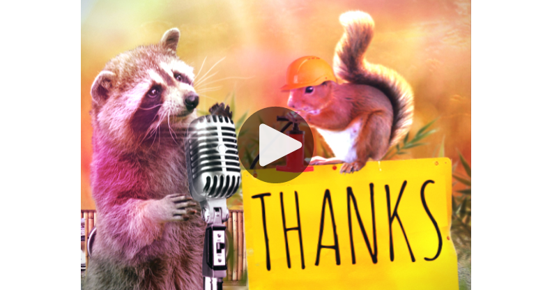 My card - Funny thank you card with singing animals