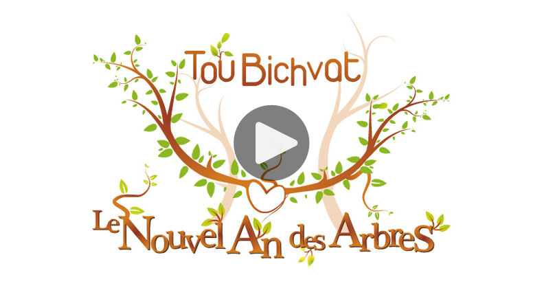 Ma carte - Tou Bichvat, Le nouvel an des arbres
