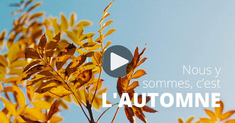 Ma carte - C'est l'automne